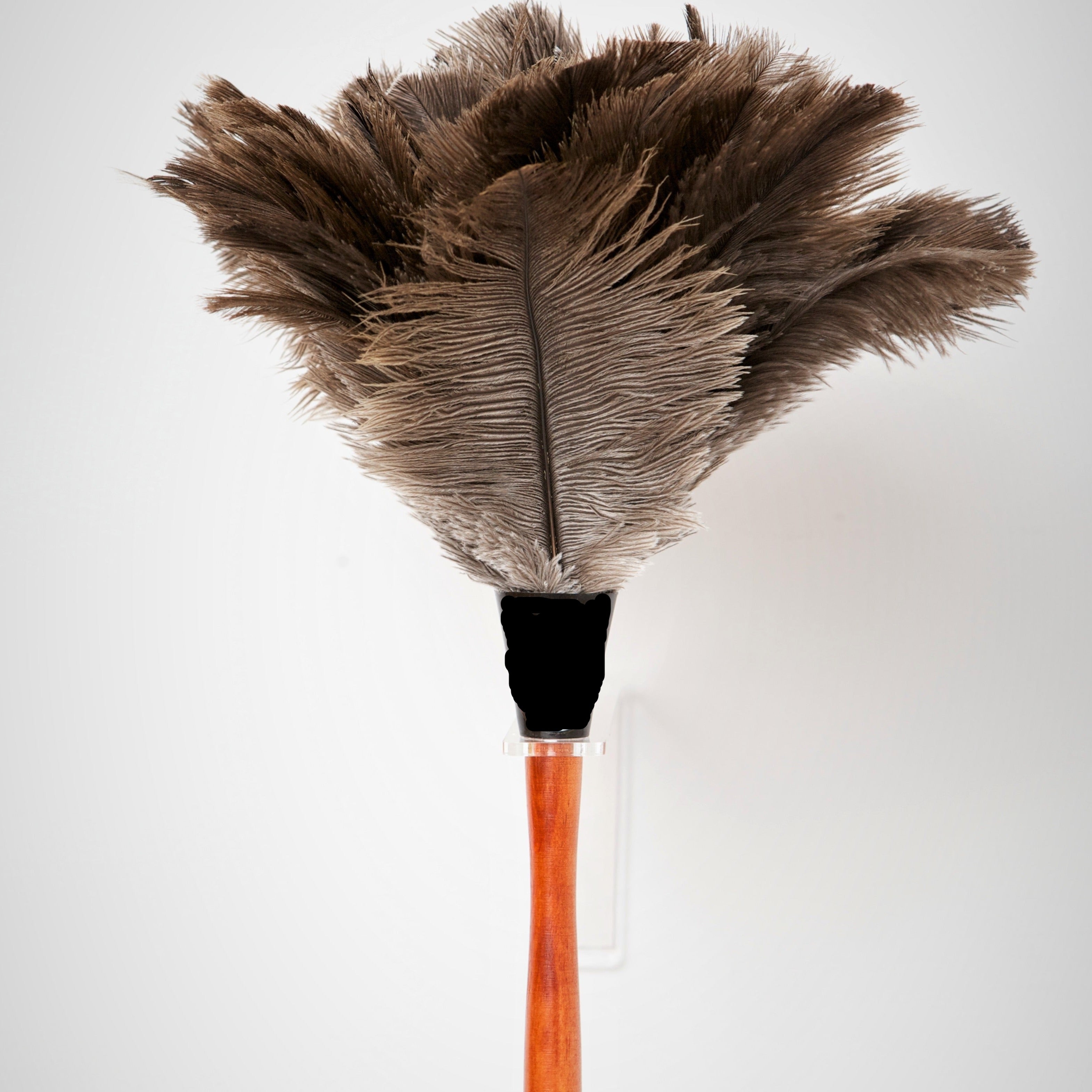 Ostrich Feather Duster Sheila Maid